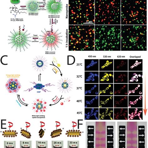 Schematic For The Synthesis Of Polymeric Nanoparticles With A Single Download Scientific