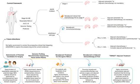 Immunotherapy In Resectable NSCLC Answering The Question Or Questioning The Answer Cancer Cell