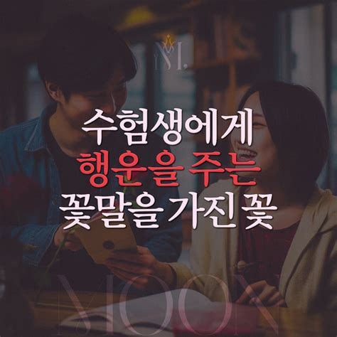 수험생에게 행운을 주는 꽃말을 가진 꽃 칼럼 동양최초 플로리스트 마이스터 문현선