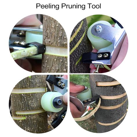 Tree Girdling Tool Usamerica Shop