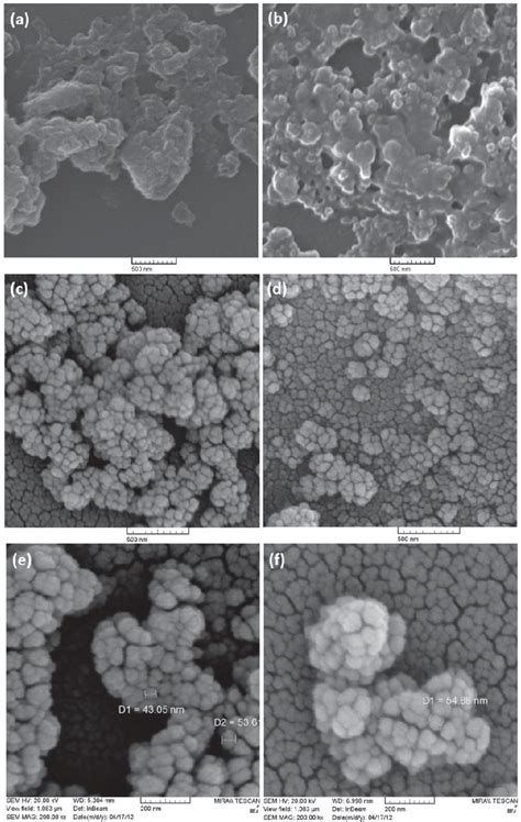 Sem Micrographs Of The A Colloidal And B Polymeric Sols After Drying Download Scientific