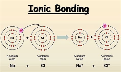 Ionic Bonds Chemistry For Grade 11 Igcse Pdf Download