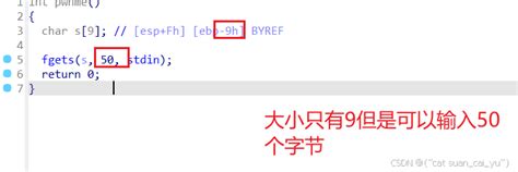 【ctfshow Pwn入门】 Csdn博客