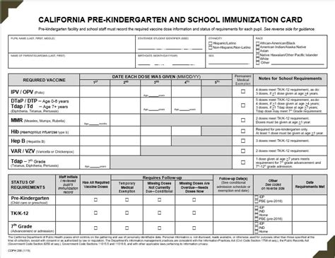 California Immunization Card Printable Room