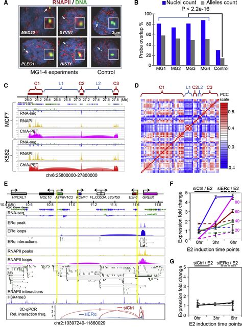 Extensive Promoter Centered Chromatin Interactions Provide A