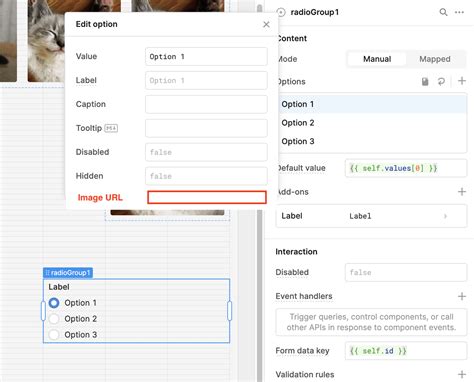 how do i represent a select input option as an image 💬 app building