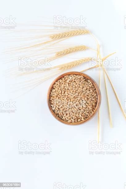 밀입니다 나무 컵과 밝은 배경에 밀의 귀에 곡물 채식주의 음식입니다 건강 한 식습관 이어 오브 윗에 대한 스톡 사진 및 기타 이미지 이어 오브 윗 메밀 컵 Istock