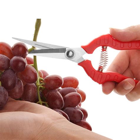 Gardening Pruning Scissors Fruit Bud Scissors Frui Grandado