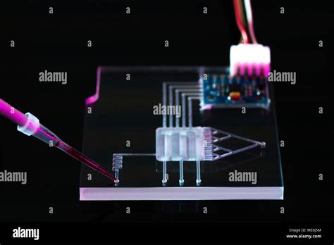 Lab On A Chip LOC Stock Photo Alamy