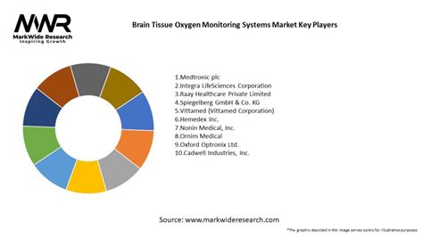 Brain Tissue Oxygen Monitoring Systems Market Analysis Industry Size Share Research Report
