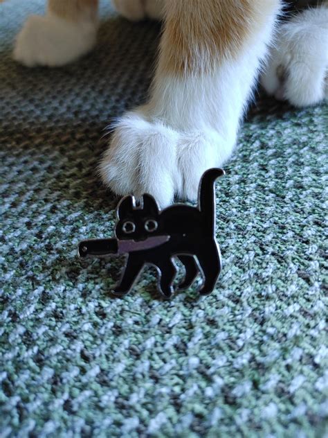 Piplup Cheer You Up 🎶 R Pokemon