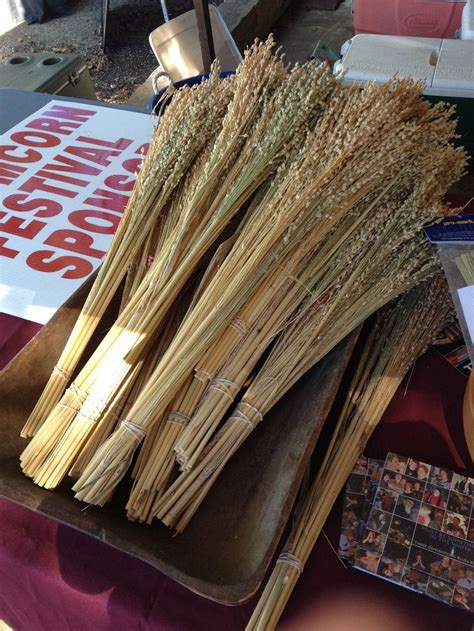 Decorative Broomcorn For Bouquets And Crafts Dyed Broom Corn Broom