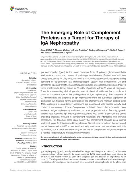 Pdf The Emerging Role Of Complement Proteins As A Target For Therapy Of Iga Nephropathy