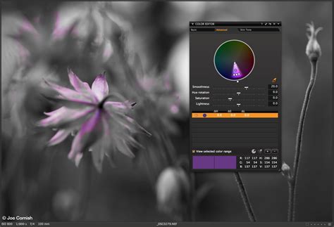 Nail Down Exact Color Correction Photo Editing Tutorials Tips Tricks Capture One Blog