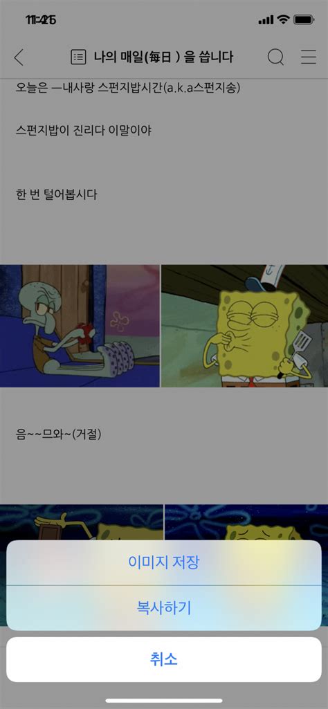 스폰지밥 짤 뚱이 짤 징징이 짤 집게사장 짤 스폰지밥 프사 네이버 블로그