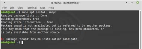 How To Enable Snap Packages In Linux Mint 20