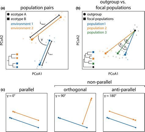 Illustration Of Vector Analysis For Determination Of Gut Microbiota Download Scientific Diagram