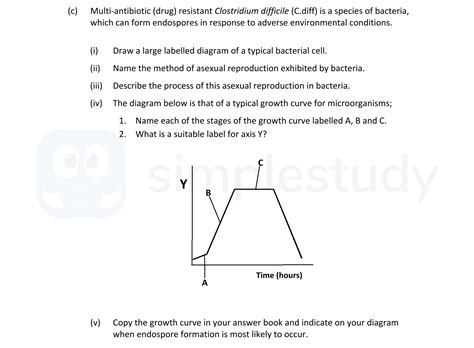 Leaving Cert Biology Bacteria Viruses And Fungi Multi Antibiotic Drug Resistan