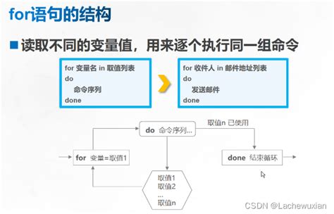 For循环 Csdn博客
