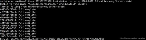 apache druid未授权命令执行漏洞复现 cve 2021 25646 csdn博客