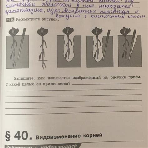 Запишите как называется изображённый на рисунке приём Сказкой целью он применяется Школьные