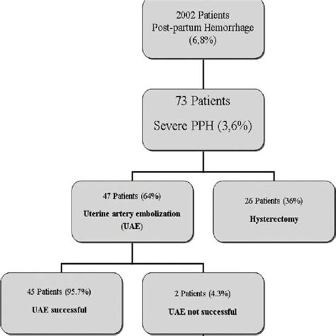 Algorithm Of Deliveries And Pph Download Scientific Diagram