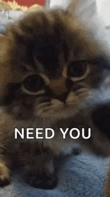 We Need You Meme We Need You Discover And Share S