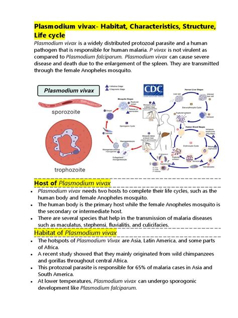 Plasmodium Vivax Habitat Characteristics Structure Life Cycle