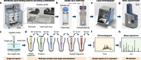 Pick Up Single Cell Proteomic Analysis For Quantifying Up To 3000 Proteins In A Mammalian Cell