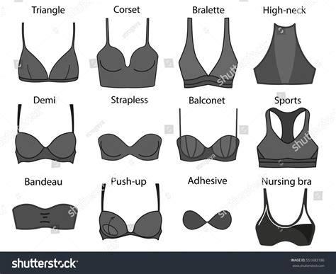2 675 Types Bra 图片、库存照片和矢量图 Shutterstock