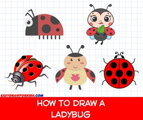 How To Draw A Ladybug 5 Ways With Pictures