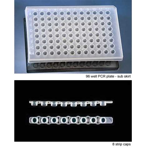 96 Well Pcr Plate With 8 Strip Caps Molecular Cloning Laboratories