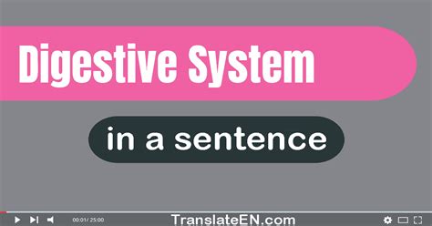 Use Digestive System In A Sentence