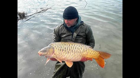 საამურის ტბის გათევზიანება 2024 Youtube