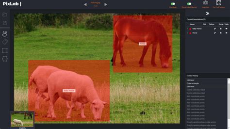 Annotate Online Bulk Image Annotation Labeling And Segmentation Tool