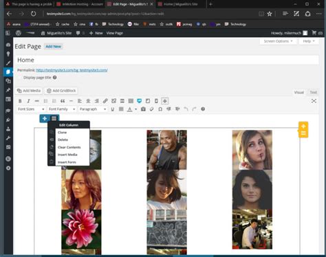 BoldGrid Review PCMag
