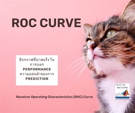 Receiver Operating Characteristics Roc Curve Matlab Bkk Medium