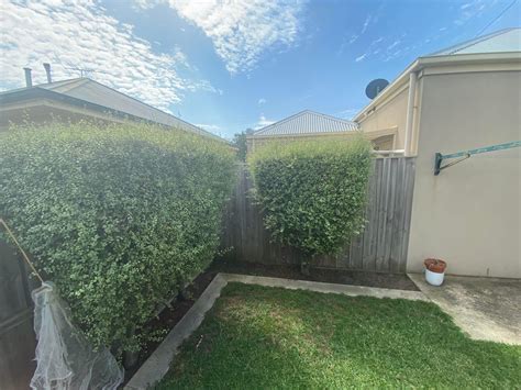 hedging gardenworx