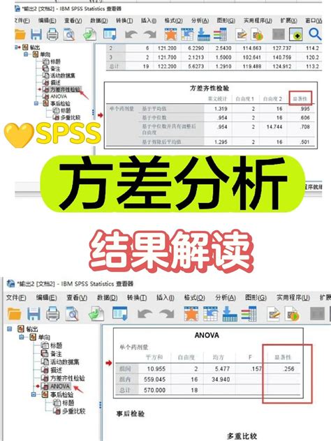 Spss方差分析结果怎么看？