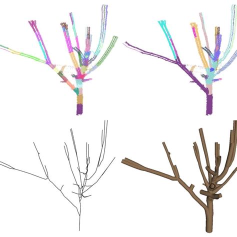 Reconstruction Result Of Walnut Top Segmentation And Branch Detection Download Scientific