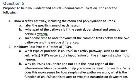 Solved Question Purpose To Help You Understand Neural Chegg