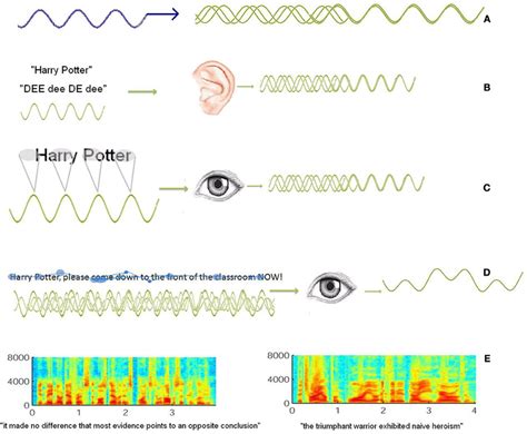 A Is An Illustration Of How Oscillatory Signals—either External Or Download Scientific