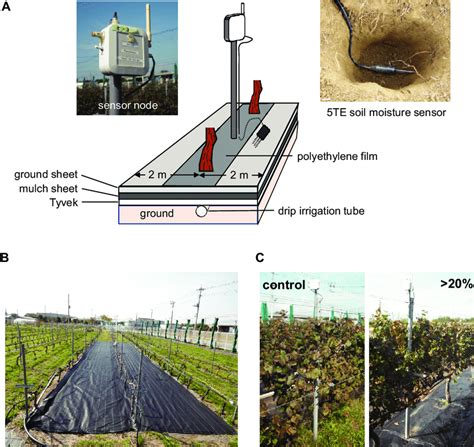 Deployment Of A Wireless Sensor Networking System For Real Time