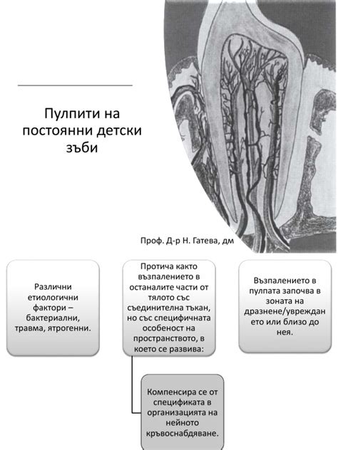 Възпалителни Промени в Пулпата На Постоянни Детски Зъби Pdf