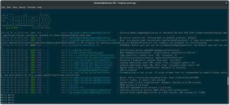 Saddle Up A Camel Tutorial For Beginners Tom Donohue