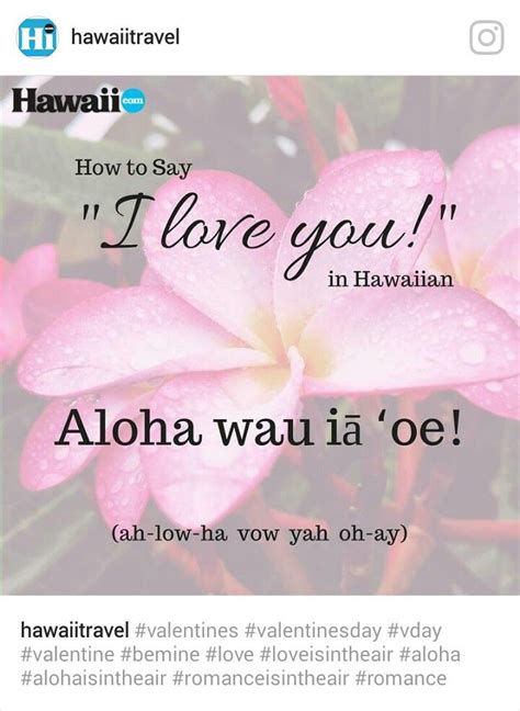 I Love You 💚💚🌸🌸🌺🌺 In Hawaiian Wedding Quote Hawaiian Wedding Hawaii