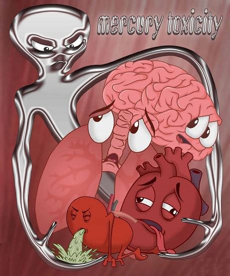 汞的毒性