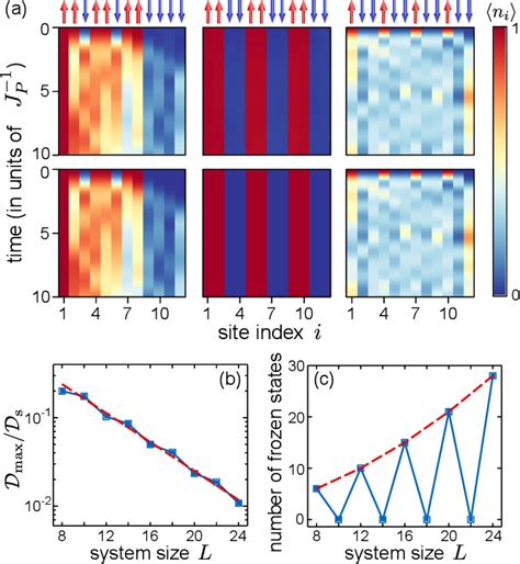 Figure 3 From Probing Hilbert Space Fragmentation With Strongly Interacting Rydberg Atoms