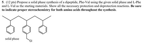 Solved Pts Propose A Solid Phase Synthesis Of A Chegg Com