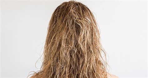 10 Dry Hair Remedies To Repair Your Hair Immediately The Detox Lady
